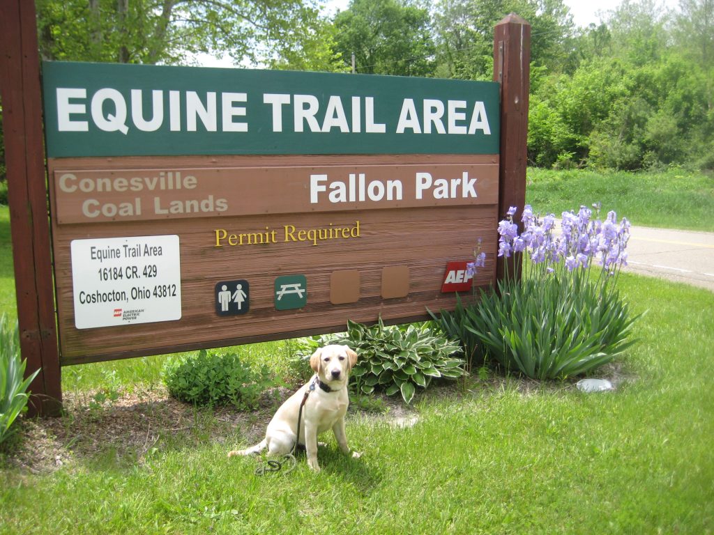 A Conesville Horse Area (Fallon Park) – Ohio Horseman's Council, Inc