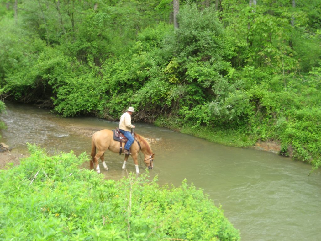 A Conesville Horse Area (Fallon Park) – Ohio Horseman's Council, Inc