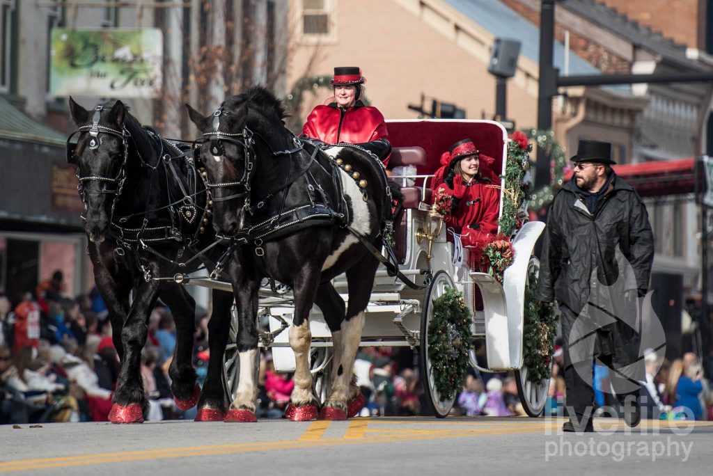 Warren County – Horse Drawn Carriage Parades – Ohio Horseman's Council, Inc
